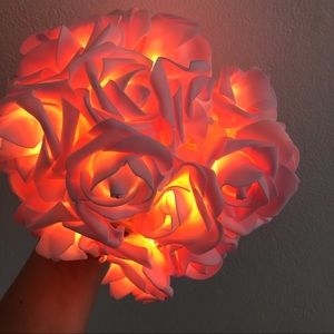 Holiday | New Trendy Hot Pink Roses String Lights | Poshmark